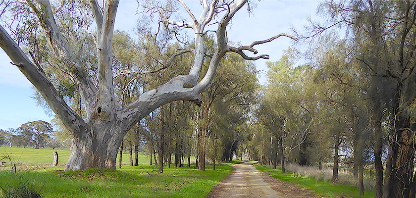 Musings | Angela Goode