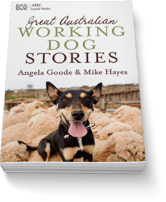 Books | Angela Goode