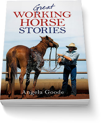 Books | Angela Goode